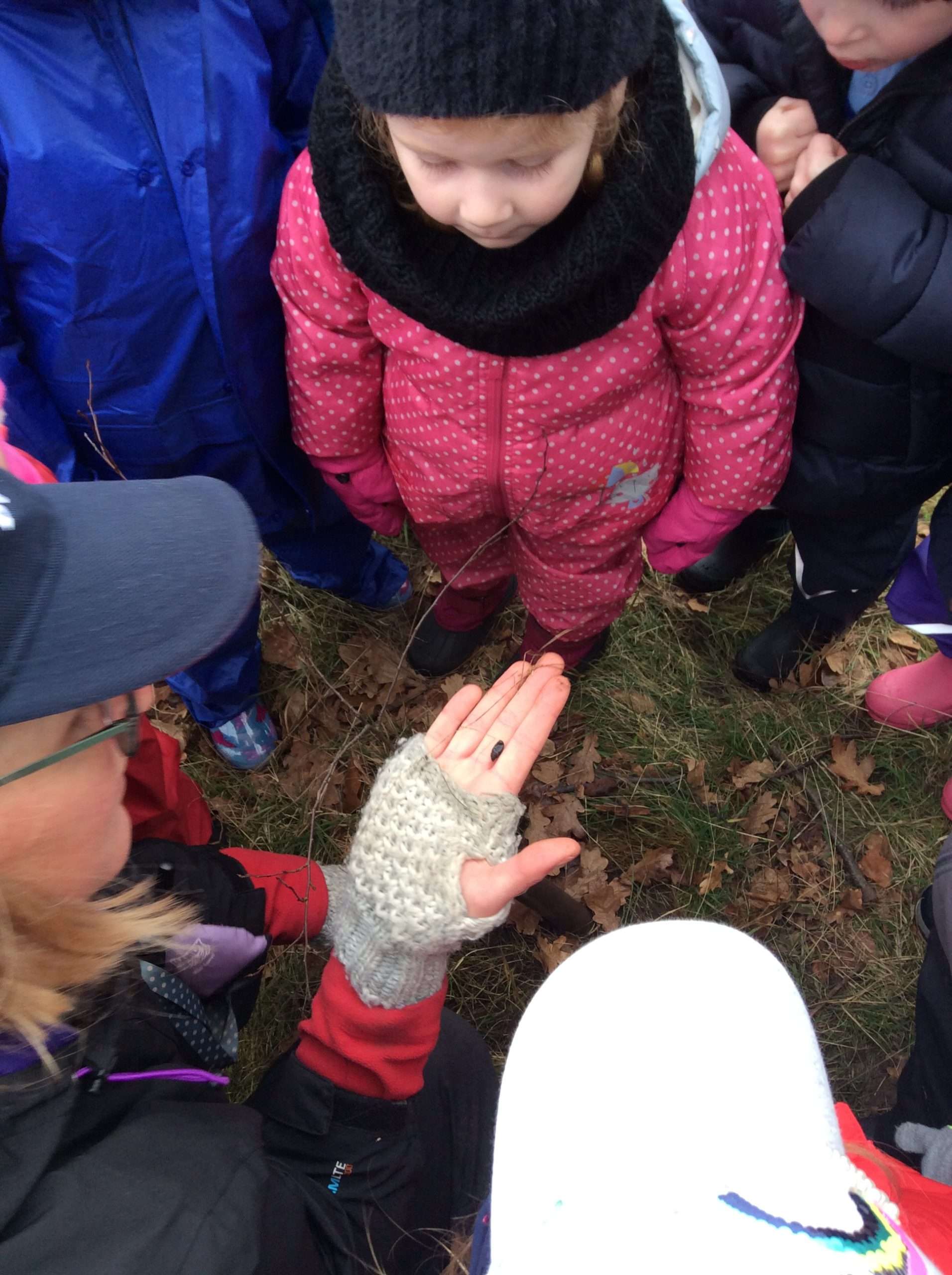 Forest School|Forefield Community